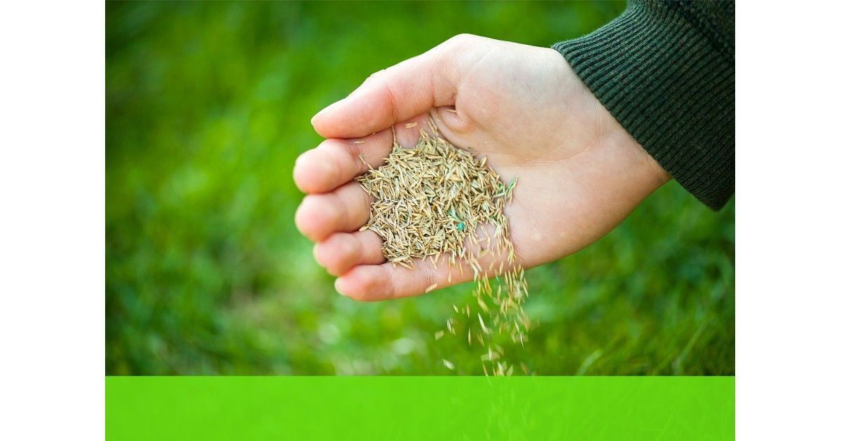 Como semear um relvado | MaxMat