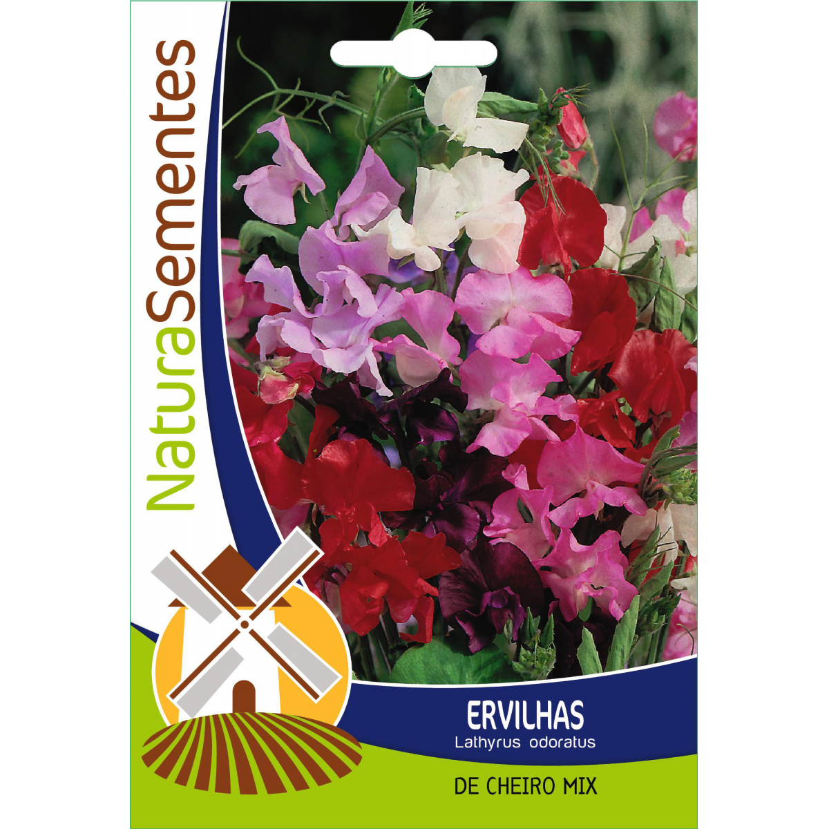 Ervilhas De Cheiro Mix - 10059546 - MaxMat