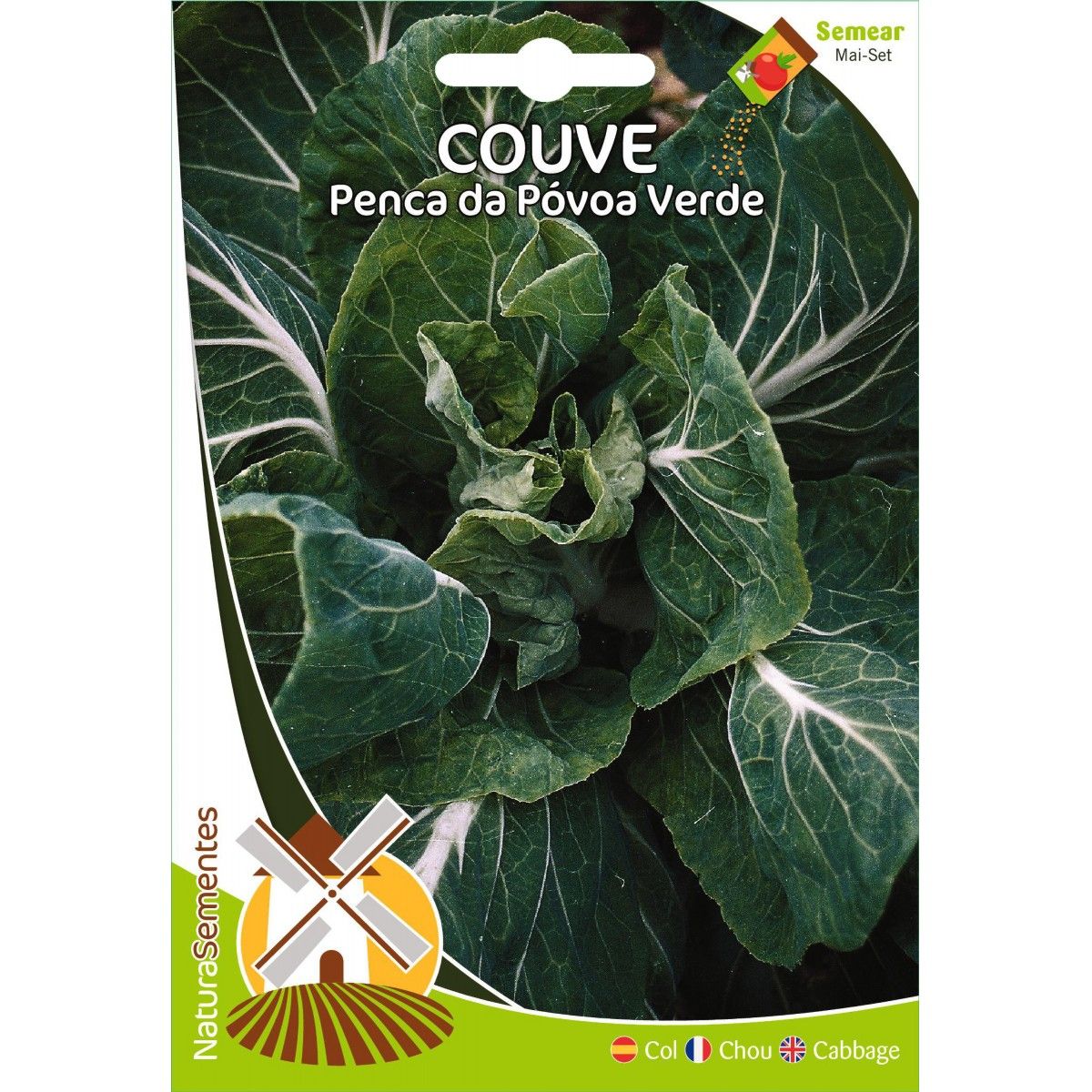 Couve Penca Da Póvoa Verde | MaxMat