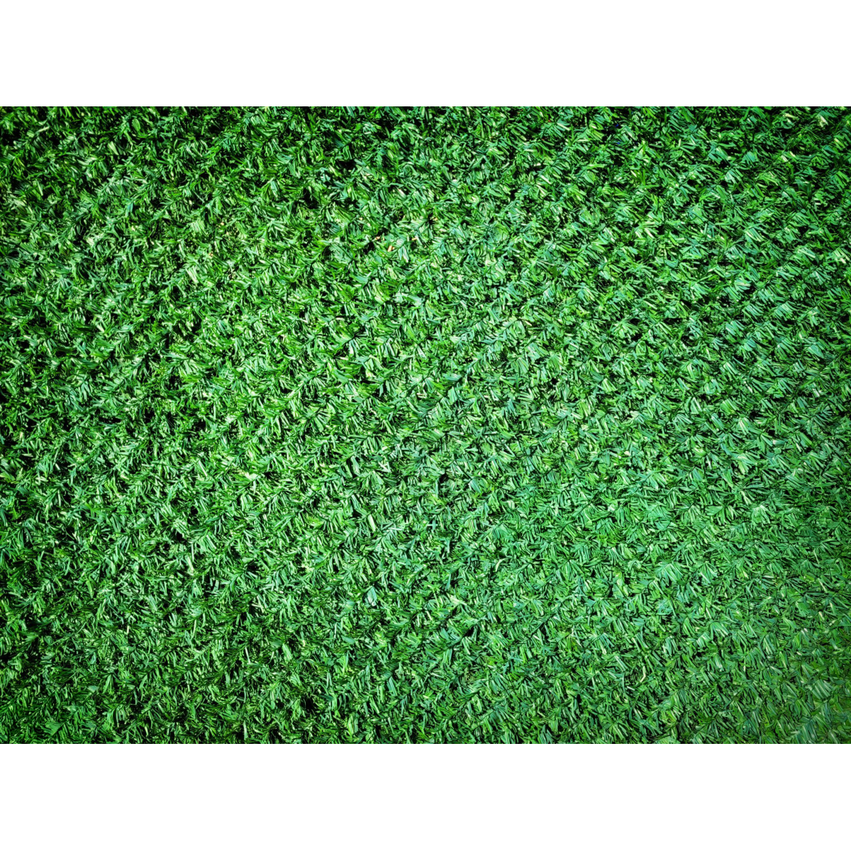Sebe Artificial 1,5x3m | Vedação Verde Prática - 20033305 - MaxMat