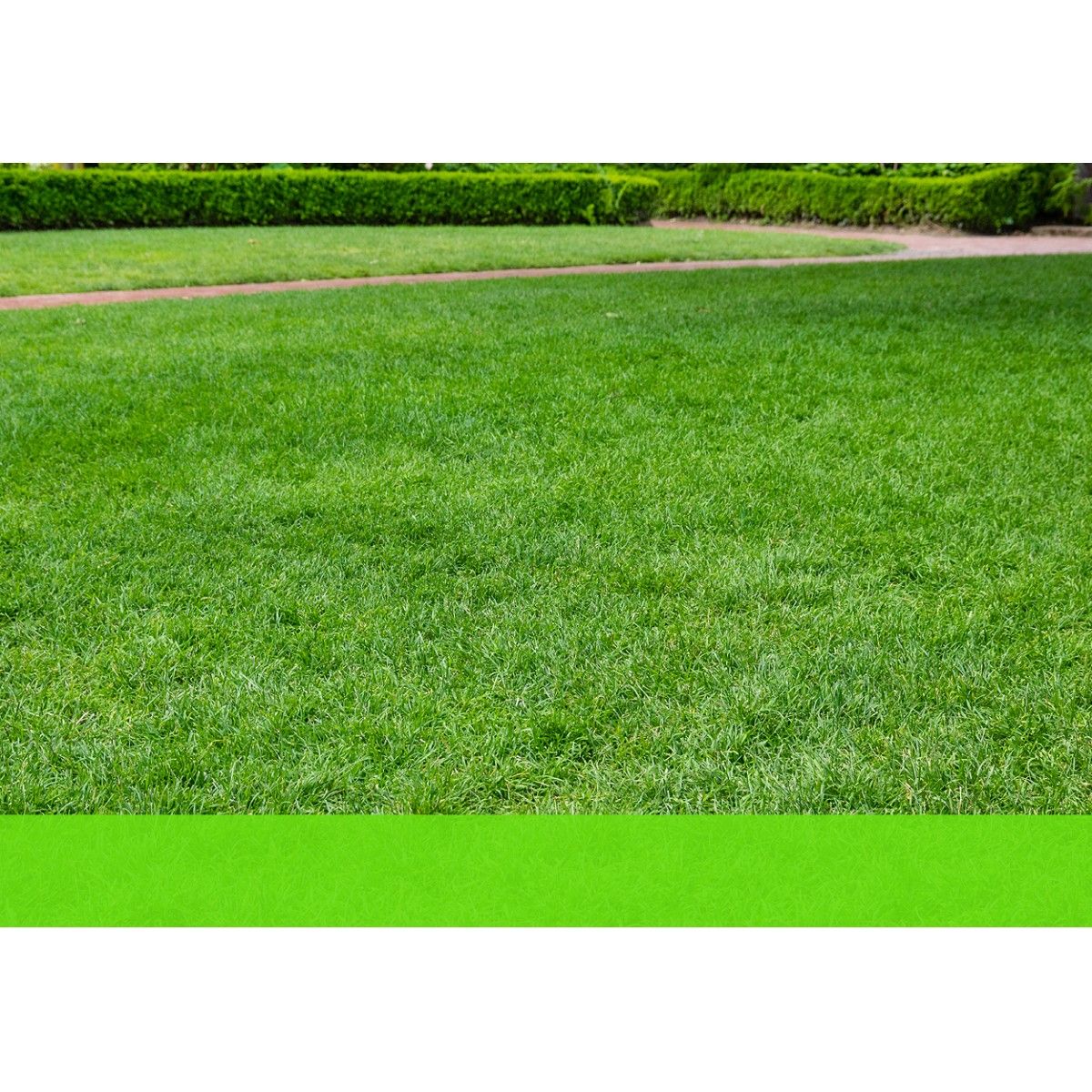 Como semear e tratar um relvado | MaxMat